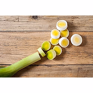 Large American Flag Leek Seeds for Planting, 500+ Heirloom Seeds Per Packet, (Isla's Garden Seeds), Non GMO Seeds, Botanical Name: Allium ampeloprasum, Great Home Garden Gift