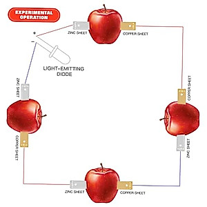 Anneome 450 Pcs Copper Zinc Electrode Strip Xt60 Alligator Clips Zinc Anode Electroplating Science Experiment Supplies Board Nickel Anode Electroplating Carnosine DIY Fruit Filler Anodes