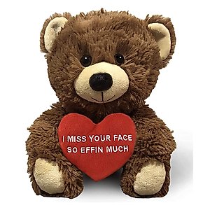 I Miss Your Face So Effin Much - 10" Teddy Bear & Gift Bag - Funny Stuffed Animal Plush Gift for Girlfriend, Boyfriend, Best Friend - Birthday, Anniversary, Valentines, or Long Distance - Witty Bears