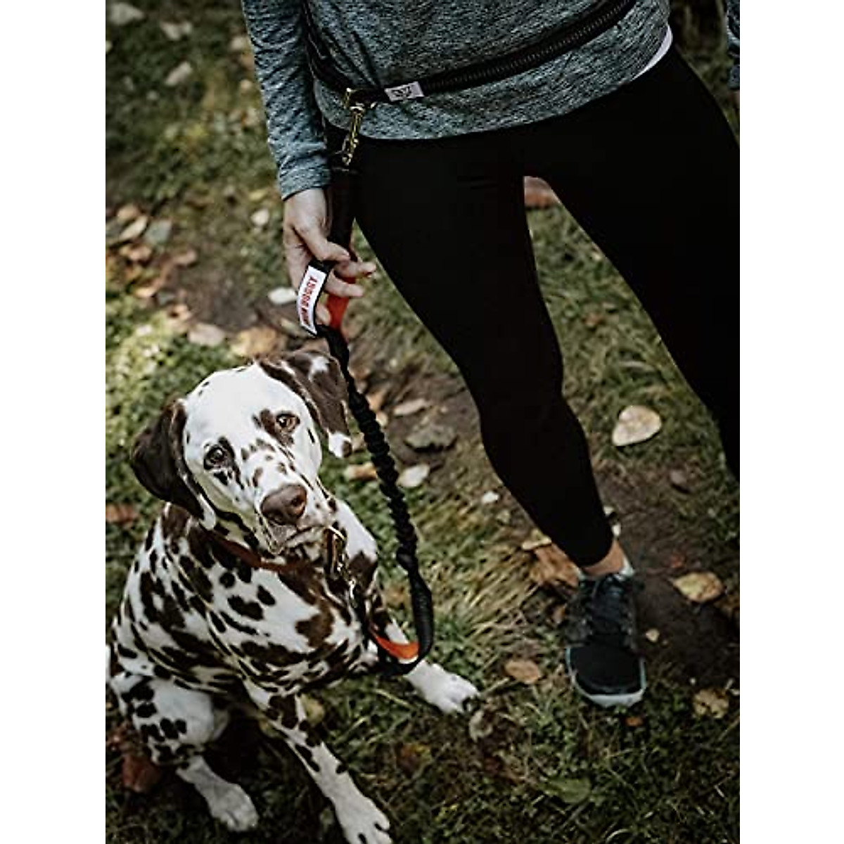 IRON DOGGY Extra Belt (Belt only)