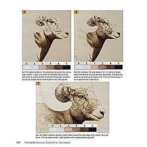 Woodburning Realistic Animals: 12 Step-by-Step Pyrography Projects of Birds, Pets, and Wildlife (Fox Chapel Publishing) Tutorials for Eyes, Fur, Manes, & Whiskers; Projects for Big Cats, Owls, & More