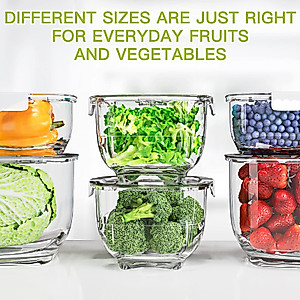 LUXEAR Fresh Produce Vegetable Fruit Storage Containers 3Piece Set, BPA-free, Partitioned Salad Container, Fridge Organizers, Used in Storing Fruits Vegetables, White