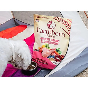 Earthborn Holistic Unrefined Roasted Rabbit with Ancient Grains & Superfoods Dry Food for Dogs & Puppies (25 lb. Bag)