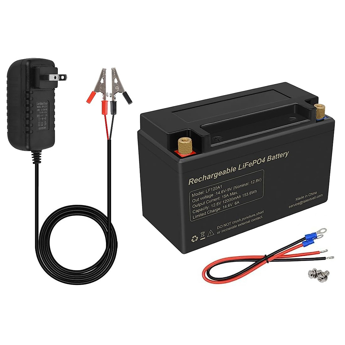 Talentcell 12V LiFePO4 Battery Pack LF120A1, Deep Cycle Rechargeable 153.6Wh 12.8V 12Ah Lithium Iron Phosphate Batteries