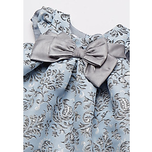 Bonnie Jean baby girls Short Sleeve Jacquard Party Special Occasion Dress, Blue, 6-9 Months US