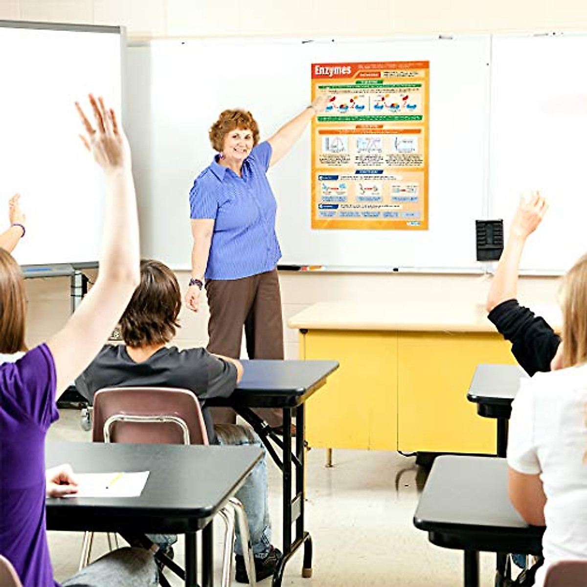 Daydream Education Enzymes | Science Posters | Gloss Paper measuring 33” x 23.5” | STEM Charts for the Classroom | Education Charts