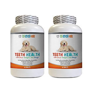 Dog Gummy Vitamins - Advanced Teeth Health for Dogs - Fights Bad Breath - Best Looking Gums and Teeth - Dog Vitamin b12 - 120 Tablets (2 Bottles)