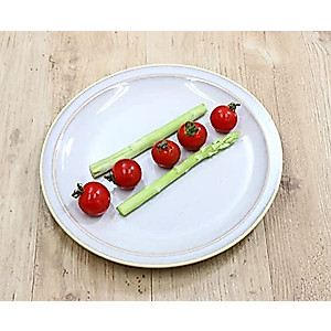 キャッスルエンタープライズ(Castle Enterprise) New Instagram-worthy Plate Series 9.1 inches (23 cm) Pasta & Curry Plate (Aurora White) x 1