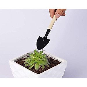 BushWalk Set of 3pcs Gardening Tools for Small Plants Succulents Pots Flower Cactus - Bonsai Tool Kit Gift for Kids and Adults