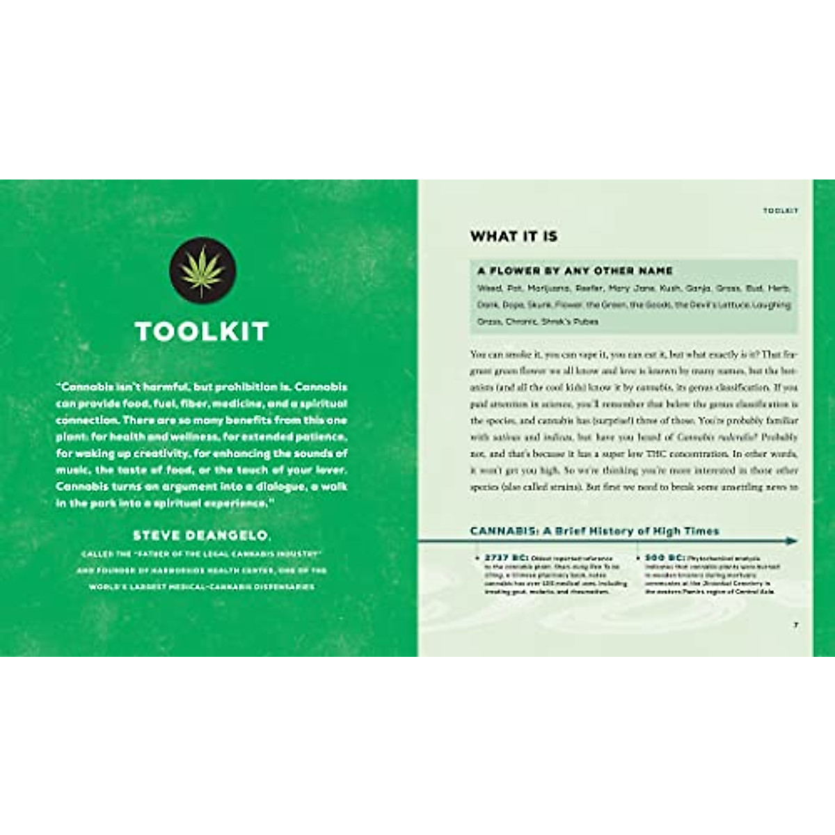 The Joy of Cannabis: 75 Ways to Amplify Your Life Through the Science and Magic of Cannabis (Coffee Table Book, Adult Activity Book, or Self-Care Gift for a Happy High)