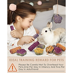 Bissap 12PCS Rabbit Chew Sticks, Hanging Chew Sticks & Cakes Timothy Hay Carrot Strawberry Treat for Bunny Chinchilla Guinea Pig Hamster and Other Small Pets Molar Snack Toy