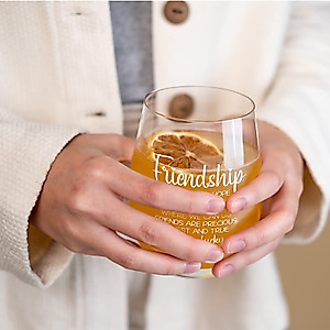 DAZLUTE 17oz Stemless Wine Glass, Friendship Gift for Women Glass, Durable, Perfect for Wine, Cocktails, Juice, Coffee, Tea, Ideal Birthday, Christmas, Mother's Day Gift