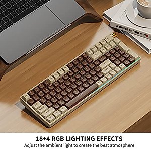 ROYALAXE R100 Wireless Mechanical Keyboard, Upgraded TTC Gold Pink Switches, Hot Swappable Wired/Bluetooth 5.0/2.4G Wireless Keyboard with RGB Light for Windows & Mac, PBT Keycaps, Lava Brown