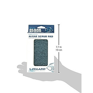Lifegard Aquatics 4-Inch by 6-Inch Blue Algae Pad,Black