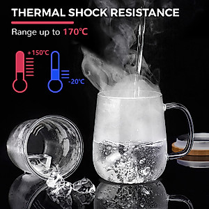 Dorsaer Glass Tea Mugs - 16.9oz Glass Tea Cup with Infuser and Lid for Tea Steeping at Home and Office. Larger Glass Tea Cups, Clear Glass Tea mugs with infuser and lid