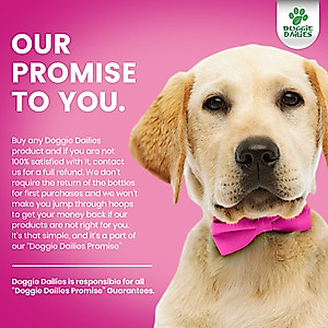 Doggie Dailies Skin & Coat Supplement + Antioxidant Support, 225 Soft Chews, Salmon Oil for Dogs Skin and Coat with Collagen, Omega 3, Krill Oil, Biotin, & Coconut Oil for Dogs