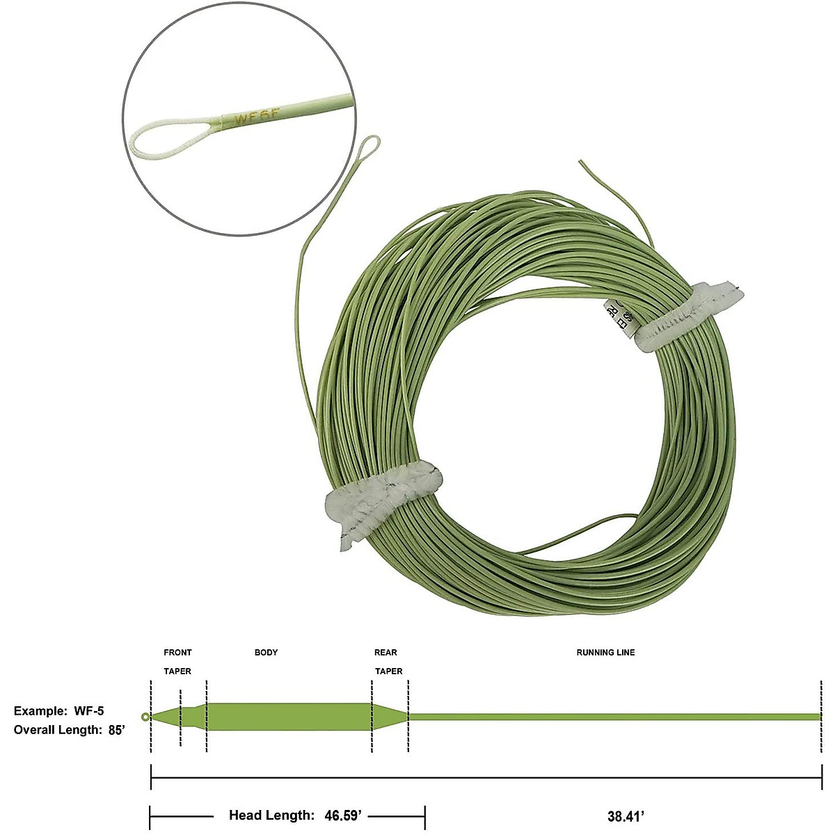 Aventik Trout Fly Fishing Line Weight Forward Floating Fly Line with Exposed Loop Easy Line ID(1pcs-Green,6F)
