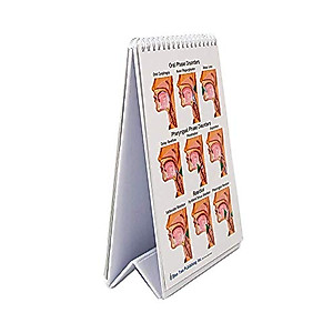 SLP Anatomy Flip Book Speech Language Pathology