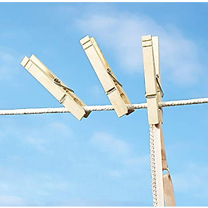 Whitmor Set of 50 Wooden Clothespins, S/50