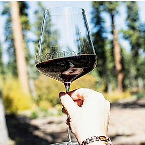 Zalto Denk'Art Bordeaux Hand-Blown Crystal Wine Glasses | Set of 6