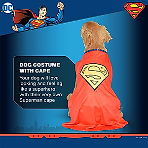 DC Comics Superhero Superman Halloween Dog Costume - Medium - | DC Superhero Halloween Costumes for Dogs, Funny Dog Costumes | Officially Licensed DC Dog Halloween Costume