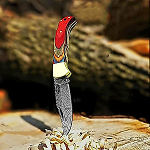 Multi Wood Unique Beautiful 6.5'' Custom Handmade Damascus Steel Brass Bolster Back Lock Folding Pocket Knife Sharpening Rod 100% Prime Quality Plus Beautiful Blue Wood Stainless Steel Pocket Knive