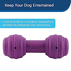 PetSafe Busy Buddy Chuckle Sound Dog Chew Toy - Treat Dispenser, BB-CHK, Purple,Medium/Large
