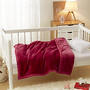 Clara Clark Toddler Blankets for Boys - Micro Mink Ultra Plush Baby Blankets, Soft and Cozy Warm Kids Blanket - 39 x 50, Baby Blue Toddler Blanket