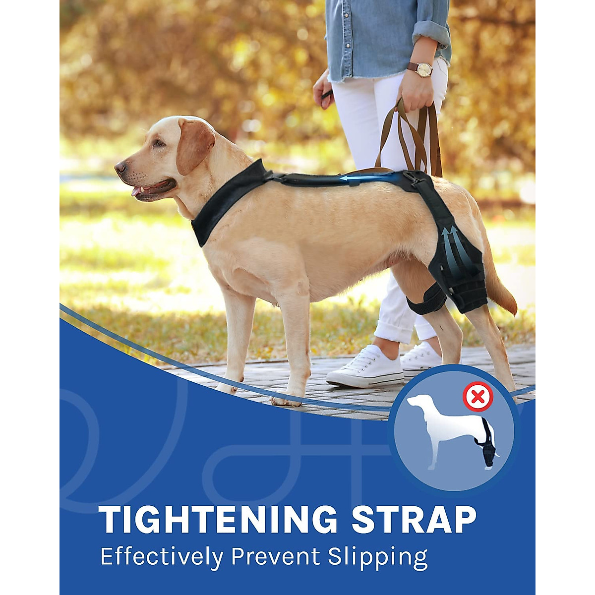 MerryMilo dog knee brace for torn acl hind leg -Upgraded Anti-Slip, Support for Cruciate Ligament Injury, Arthritis, Joint Pain, Muscle Sore, CCL Brace(Size: S, Left Leg)