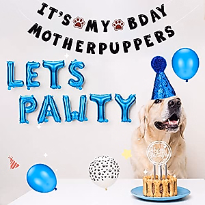 Dog Birthday Party Supplies Dog Birthday Decorations Lets Pawty Balloons Banner Dog Birthday Bandana toy Dog Birthday Boy Hat Scarfs Balloon with Cute Doggie Decorations