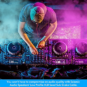 Seismic Audio Speakers 8 Channel Low Profile XLR Send Sub Snake Cable, XLR Splitter Cable, 15 Feet