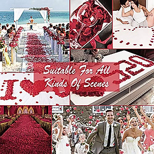 Vanleonet Rose Petals 2000 PCS Artificial Flower Silk Petals,Wedding Party Holiday Decoration for Romantic Night Valentine Day