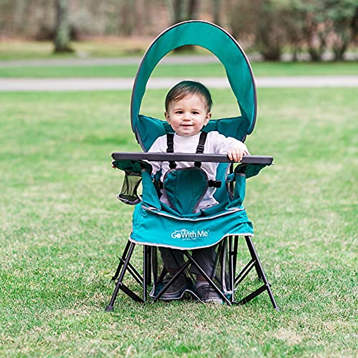Baby Delight Go with Me Venture Portable Chair | Indoor and Outdoor | Sun Canopy | 3 Child Growth Stages | Teal