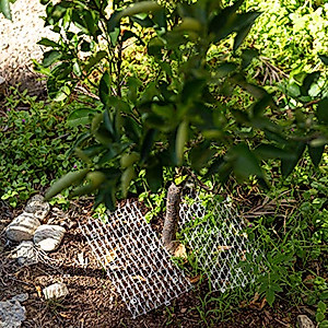 Ultragica Cat Scat Roll - Dog Scat Roll - Plastic Pet Training Mat - 6.5 feet - Keep Dogs Off Couch - Cat Spike Mat - Cat Deterrent- Cat Off Couch- Pet Off Couch- Pet Off Furniture