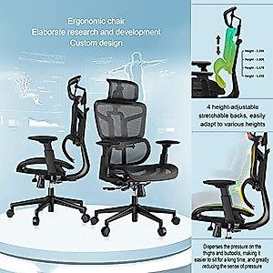 Ergonomic Office Chair, High Back Mesh Desk Chair with Liftable Backrest Armrest, 3D Adjustable Lumbar Support Headrest Computer Executive Chair