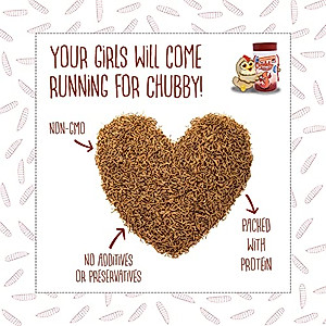 Chubby Mealworms Bulk Dried Mealworms for Wild Birds, Chickens etc. (2Lbs)