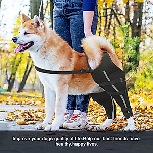 WACOI Dog Knee Brace for Torn ACL Hind Leg, Dog Leg Braces for Back Leg, Adjustable Leg Support for Large and Small Dogs with ACL, CCL, Cruciate Ligament Injuries S-Regular Model