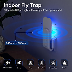 2 Pack Fly Trap Indoor(2 Device + 10 Glue Cards), Mosquito Killer, Plug-in Flying Insect Trap for Mosquito, Flies, Fruit Flies, Moths, Gnats