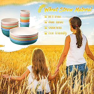54 Pcs Dinnerware Sets Unbreakable Dish Set for 18 Microwave Dishwasher Safe Reusable Plate Cup and Bowl Set Lightweight Plastic Dishes for Kitchen, Camping, Picnic, RV, Dorm