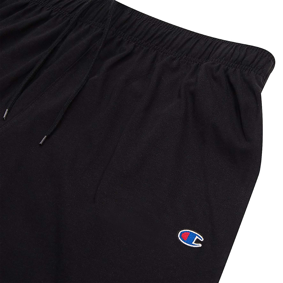 Champion Men's Big Closed Bottom Jersey Pant, Black, 2X/Tall