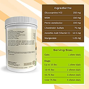 Pet Naturals Hip and Joint Supplement with Glucosamine, Chondroitin and MSM for Dogs and Cats, Duck Flavor, 160 Chews