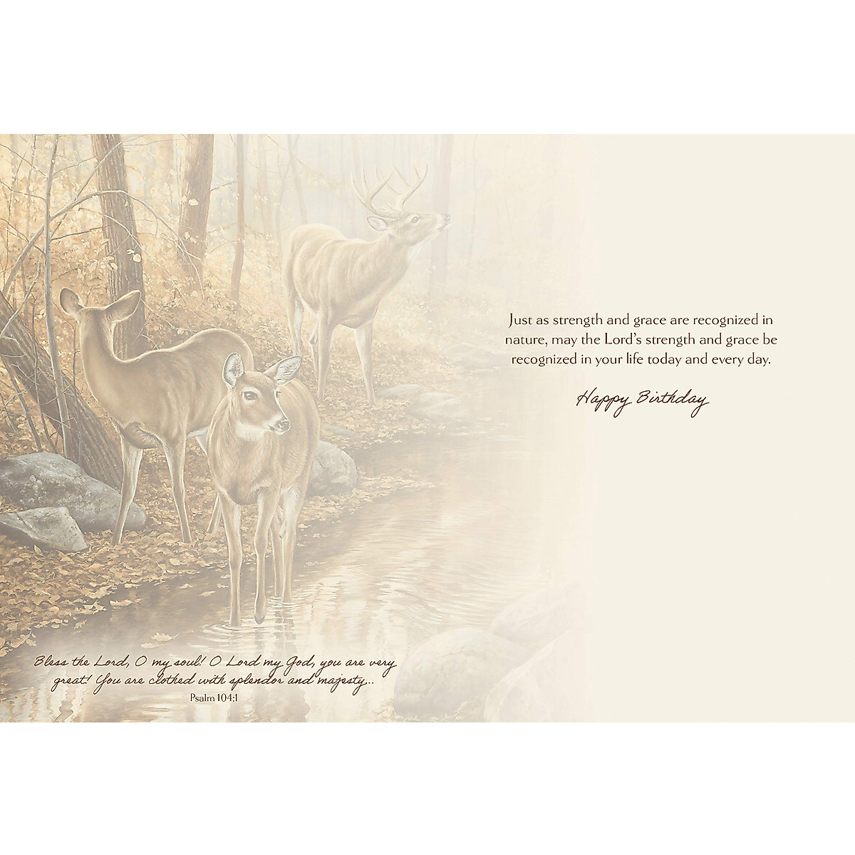 HTL Card-Boxed-Birthday-Whitetail Deer (Box of 12)