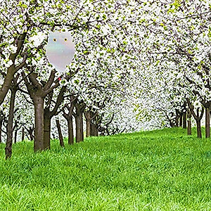 YARDWE 2PCS Owl Fake Hanging Plastic Owl Reflective Bird Blinder Scare Spiral Rods for Window Yard Garden Outdoor