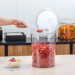 Restaurantware Met Lux 4 Gallon Food Storage Container, 1 Airtight Treat Box - With Scoop, Shatterproof, Clear Plastic Cereal Container With Hinged Lid, For Kitchen Or Pantry Organization