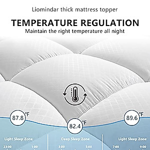 Liomindar King Mattress Topper Extra Thick Mattress Pad Cover Super Soft Breathable Down Alternative Fill Pillow Top Bed Topper with 8-21Inch Deep Pocket