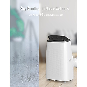 DEXSO Portable Air Conditioner 14,000BTUs, A/C for Rooms up to 750 Sq. Ft, Built-in Dehumidifier, Fan, and Sleep Mode, Includes Remote Control, Reusable Filter, and Window Kits