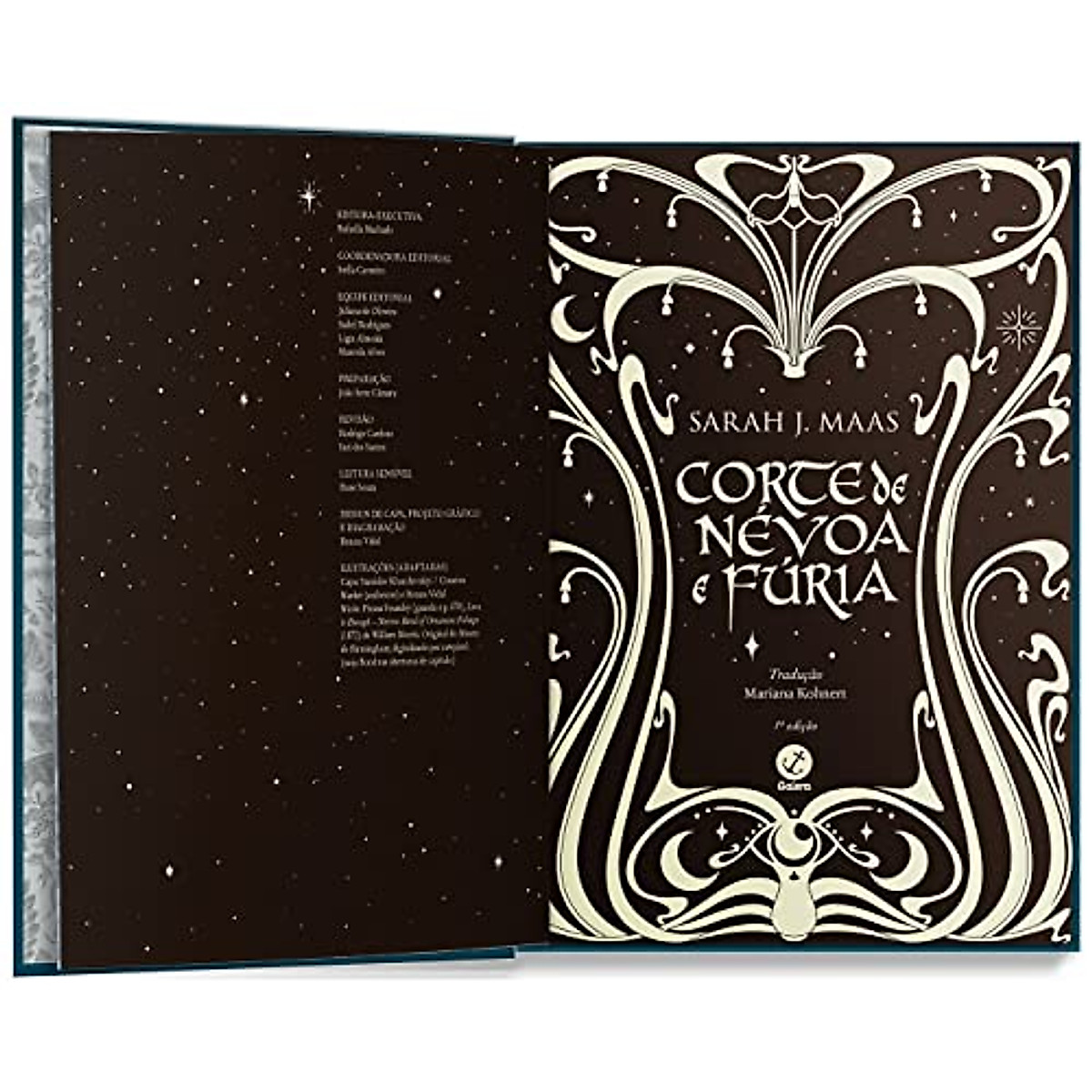 Corte de nevoa e furia - Vol. 2 Corte de espinhos e rosas – Edicao especial (Em Portugues do Brasil)