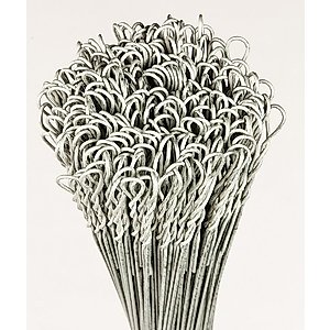Baling Wire 14 Foot Long 14 Gauge 250 Piece Bundle Single Loop Galvanized