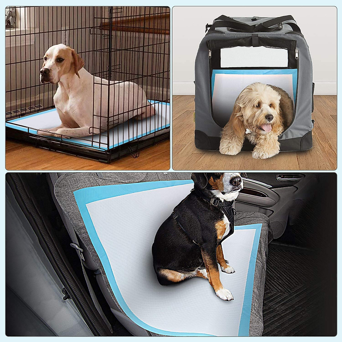 Dog and Puppy Pee Pads 50-Count Disposable Pet Pad 28x34 inch X-Large Waterproof Pet Training Pad Dog Pee Pads Maximum Absorption and Protection