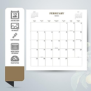 Wall Calendar 2024 12" x 12" FSC® Plastic Free - Starts Week On Sunday | Square Wall Calendar 2024 | Family Planner Calendar 2024 | 2024 Calendar (Botanical 2024)